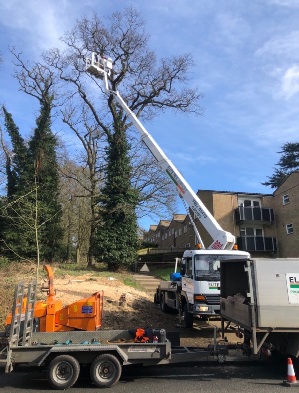 Tree Surgeons, Ipswich, Suffolk, Essex, UK, Case Studies,